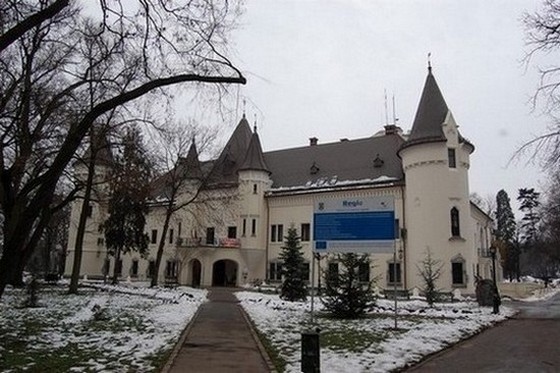 Castelul Károlyi din Carei | Primăria Municipiului CAREI